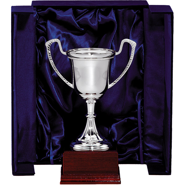 Kupa, PC-30 Kupa, promosyon Kupa - Etkin Promosyon